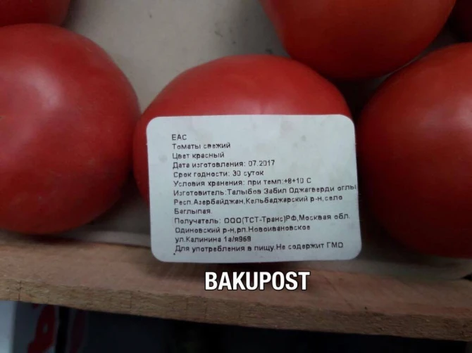 Azərbaycanlı Kəlbəcərdə yetişdirdiyi pomidoru Moskvada satır - FOTO ...