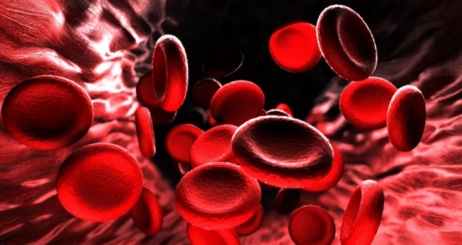 The only blood type named the source of youth and life | Baku.ws News ...