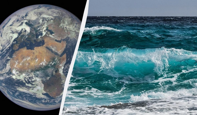 What will happen if all life in the ocean disappears? - A disturbing ...