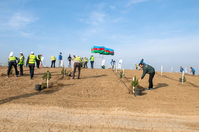 SOCAR Midstream conducted a tree planting campaign | Baku.ws News Site ...