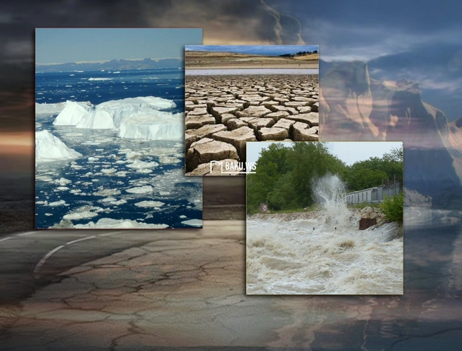 Departament müdiri: "İqlim dəyişikliyi insanlarda ürək xəstəliyinə ...