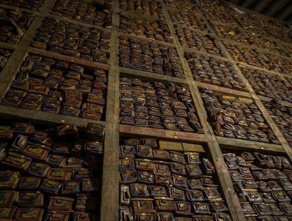 The Secret Library of Sakya: 96,000 Scrolls, the Elixir of the Sun, and ...