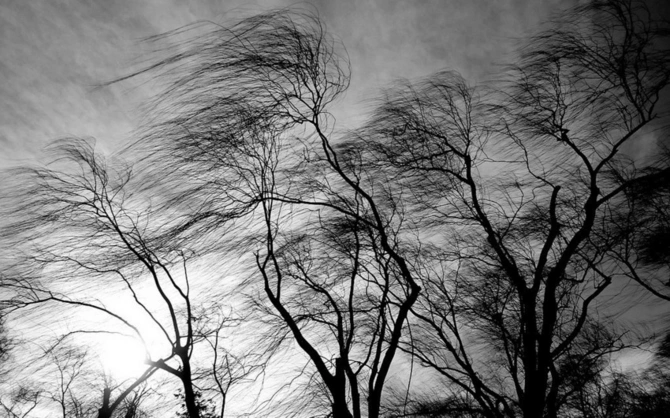 Weather forecasters warn: strong wind is approaching | Baku.ws News ...