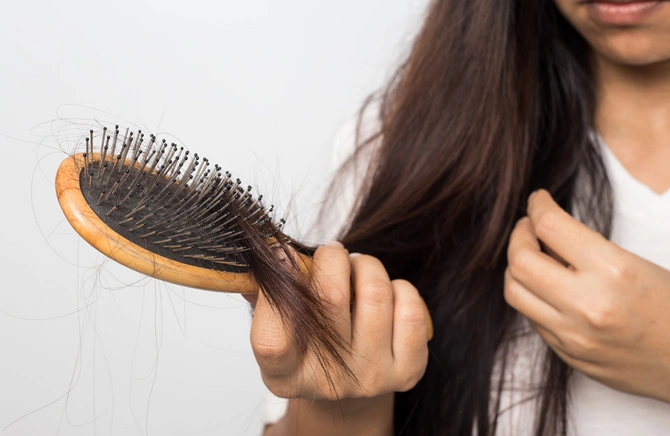 Named the only fruit that saves hair | Baku.ws News Site - Latest News ...