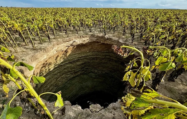 Günəbaxan tarlasında nəhəng çuxur əmələ gəldi | Baku.ws Xəbər saytı ...